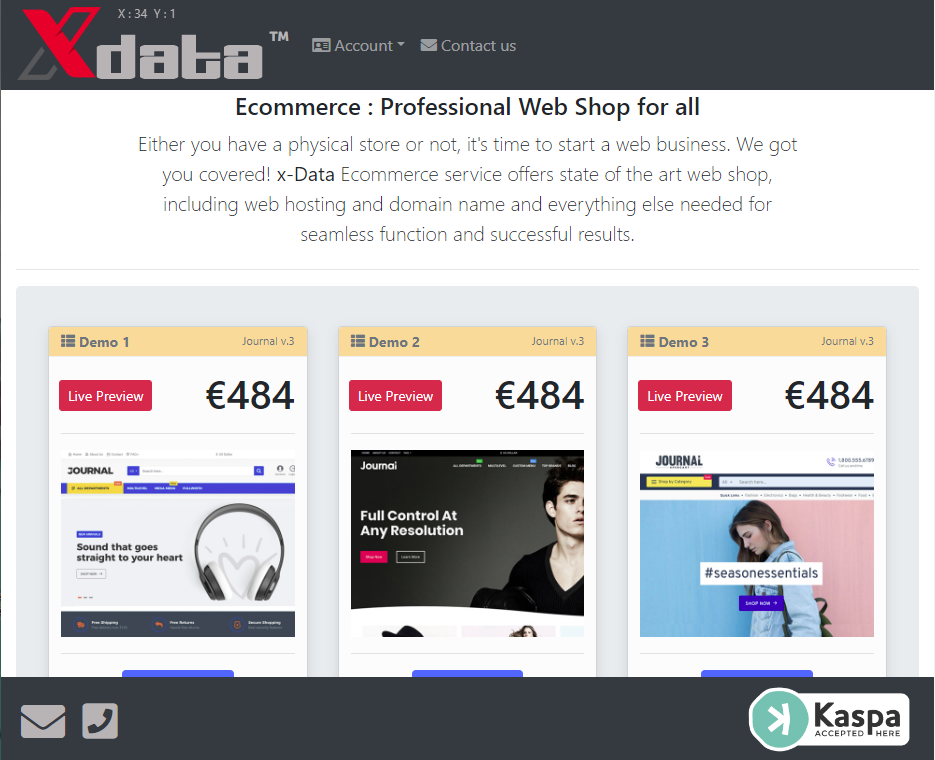 Le Brand Real IT Solutions - Kaspa